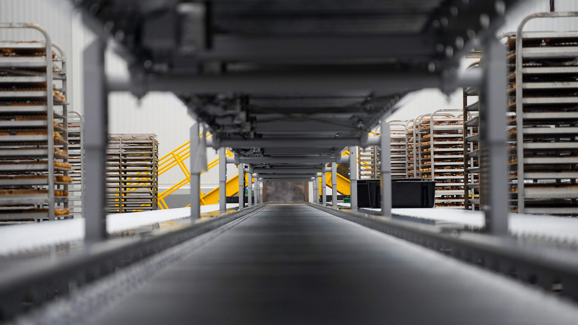 EPC Services: Engineer, Procure, Construct | Haskell