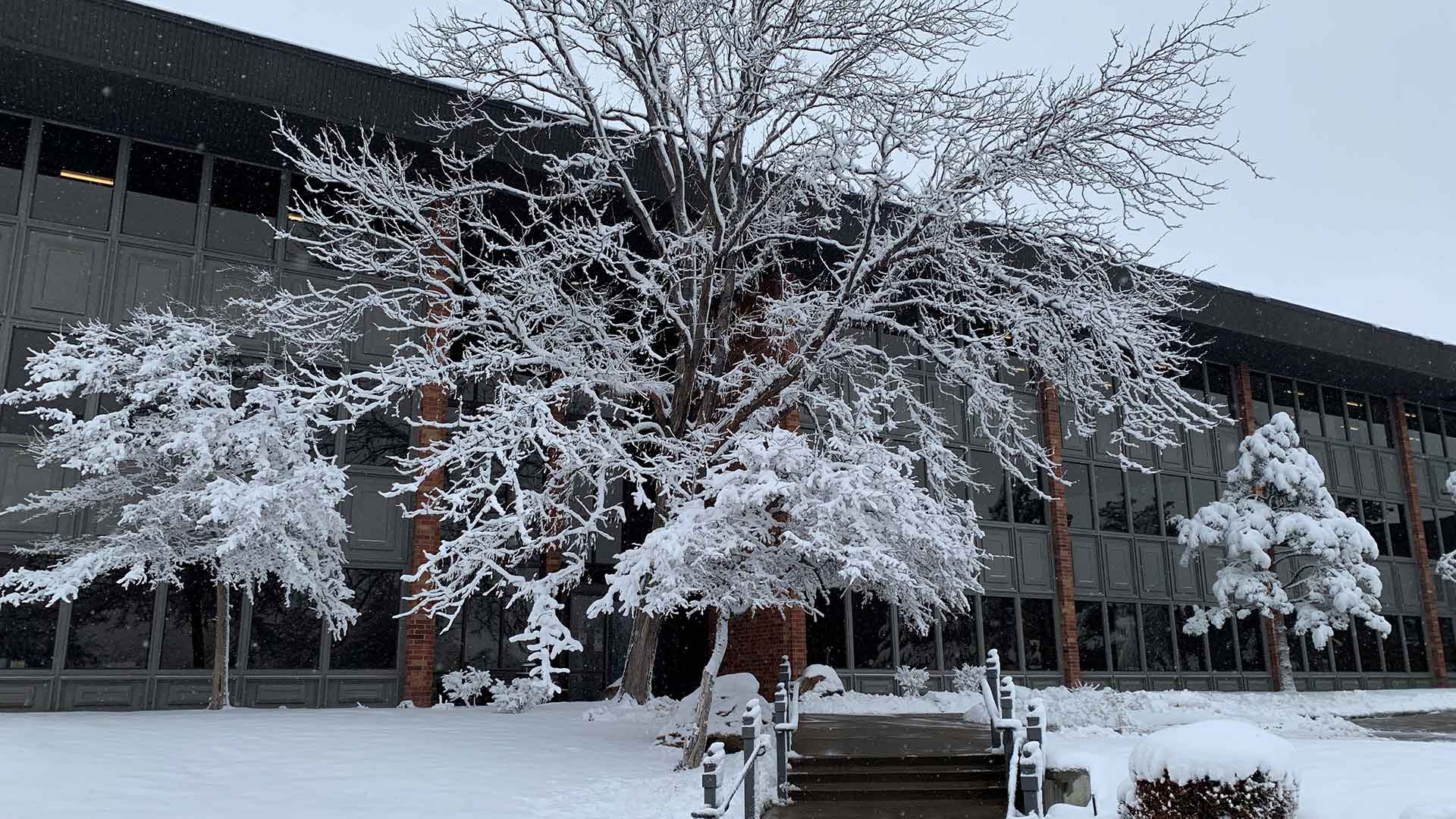 Denver Office | Architecture, Engineering & Construction | Haskell