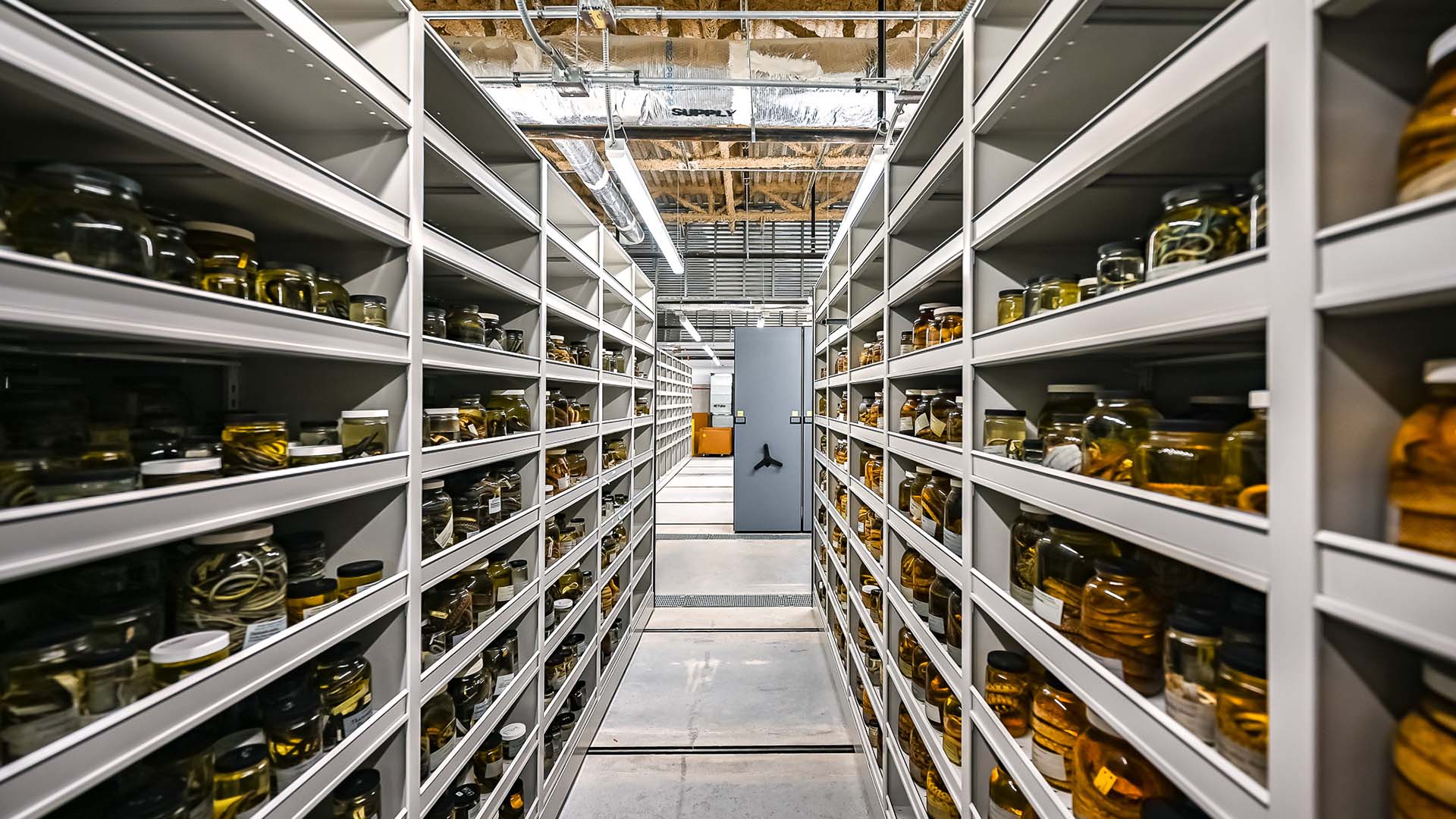Unique Museum Facility Given Rare Platinum Sustainability Certification ...
